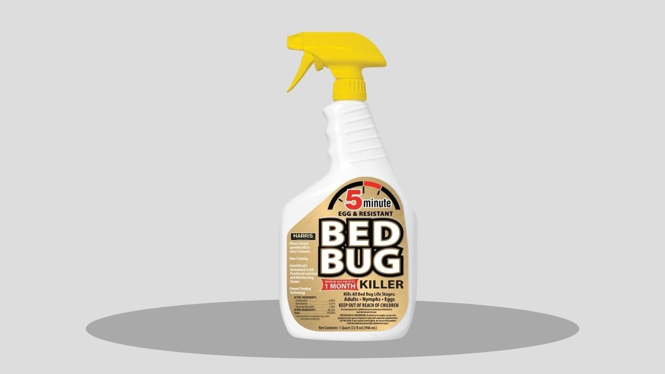 12 Best Bed Bug Sprays That Actually Work: Review in 2026
