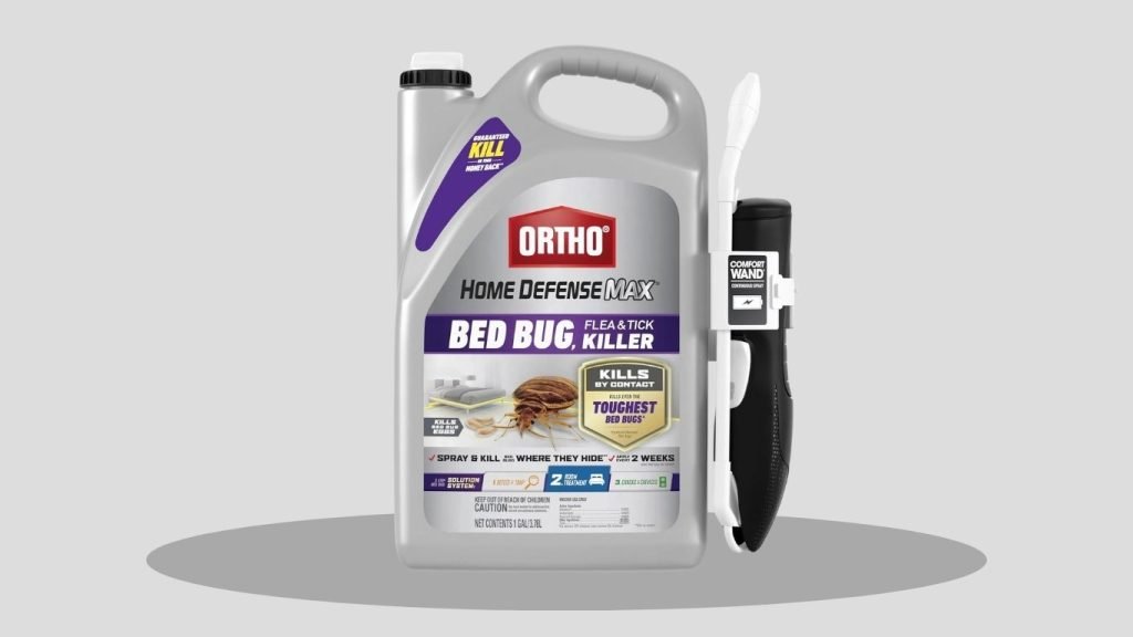 12 Best Bed Bug Sprays That Actually Work: Review in 2026